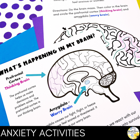 Anxiety & Worry Counseling Curriculum