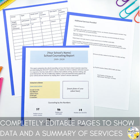 School Counseling EDITABLE End of the Year Report